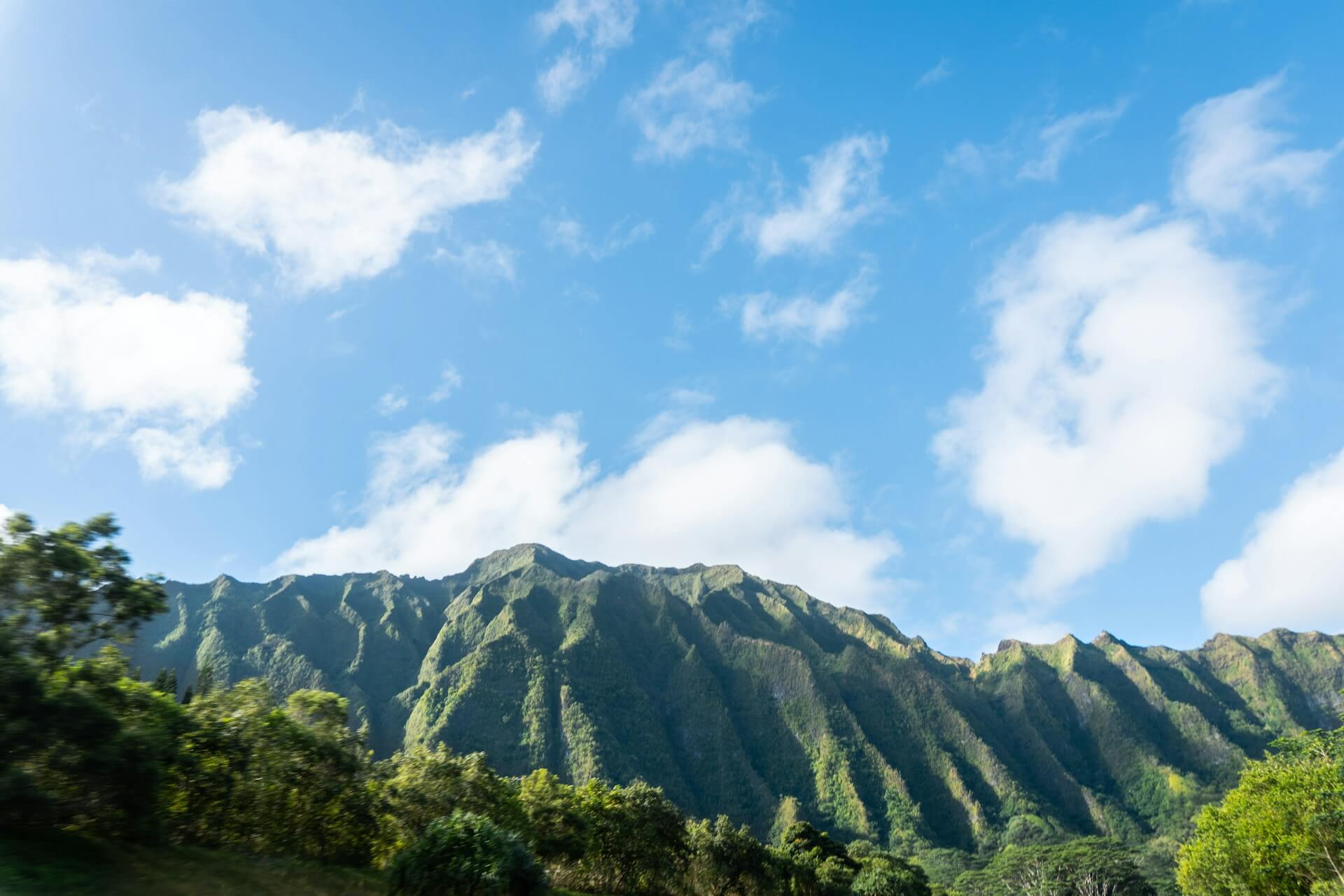 Hawaii Drug Rehab & Alcohol Treatment Center : Honu House