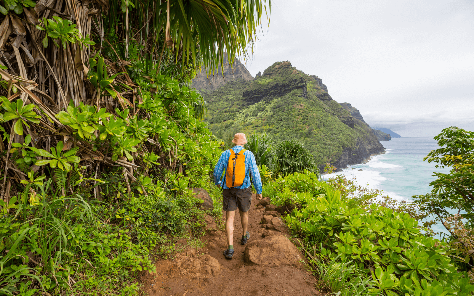 Excursions - Honu House Hawaii